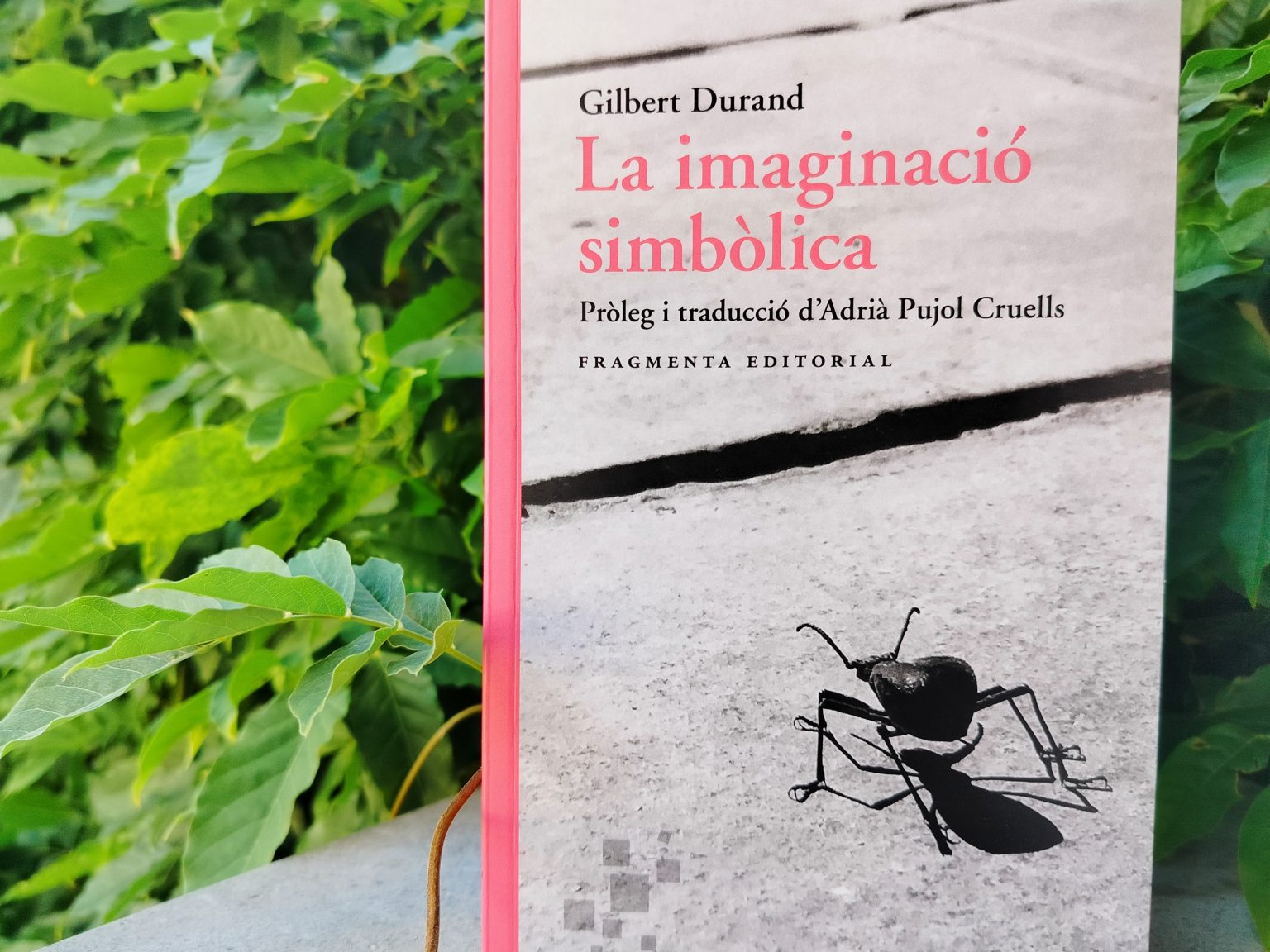 Fragmenta publica 'La imaginació simbòlica', el primer llibre de ...